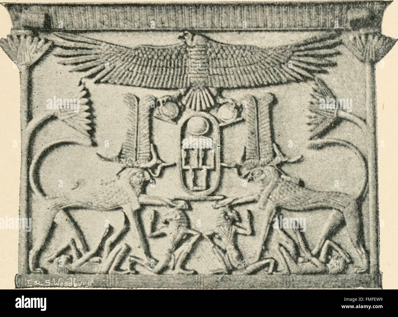 'The Sacred Beetle' (1902) explores the significance of Egyptian ...