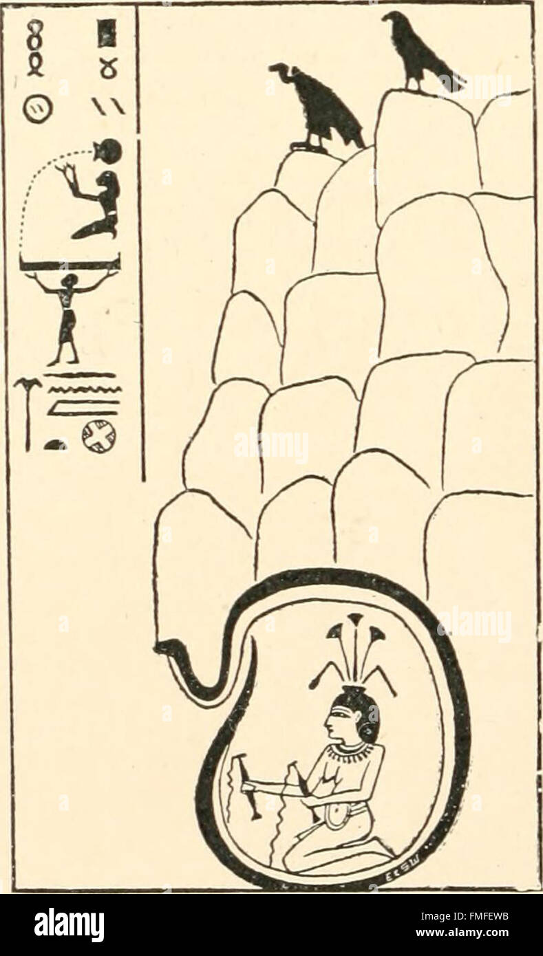 'The Sacred Beetle' (1902) explores the significance of the Egyptian ...