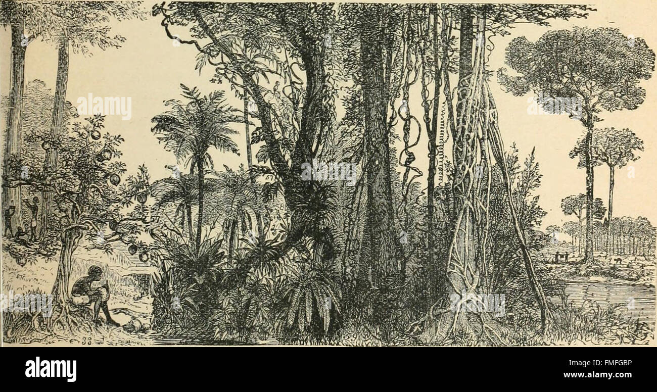 'The World’s Inhabitants' offers an overview of human races, animals ...