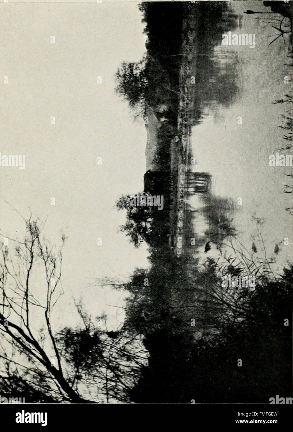 Things To Do In Palestine High Resolution Stock Photography and Images ...