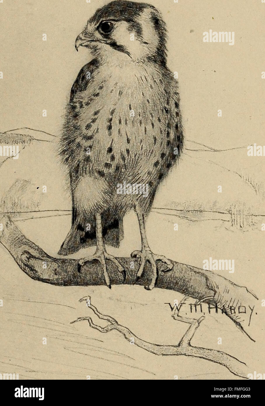 Through the year with birds and poets (poems); (1900 Stock Photo - Alamy