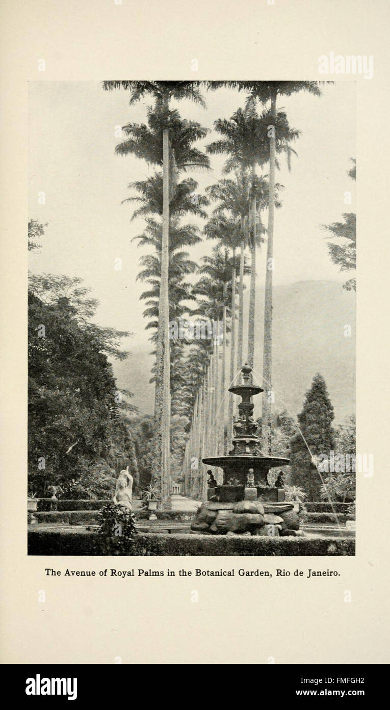 This illustration from 'To the River Plate and Back' shows a depiction ...