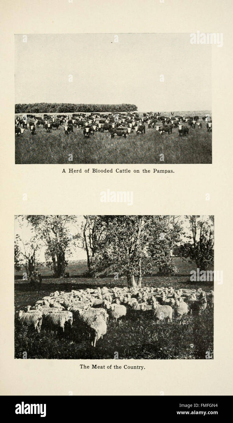 Plate 23 from 'To the River Plate and back' depicts a scenic view of ...