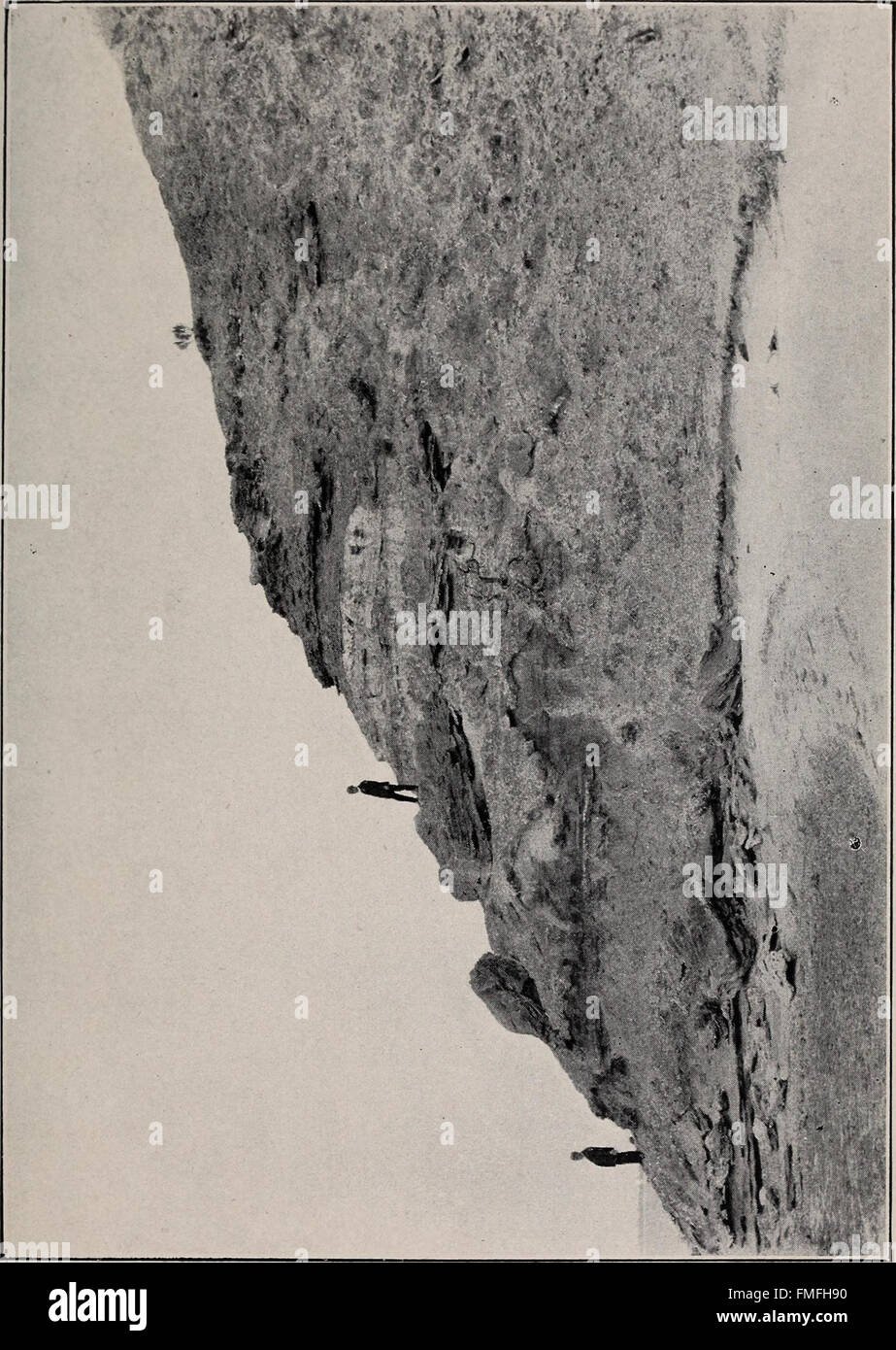 The 1918 'Transactions and Proceedings of the Royal Society of South ...