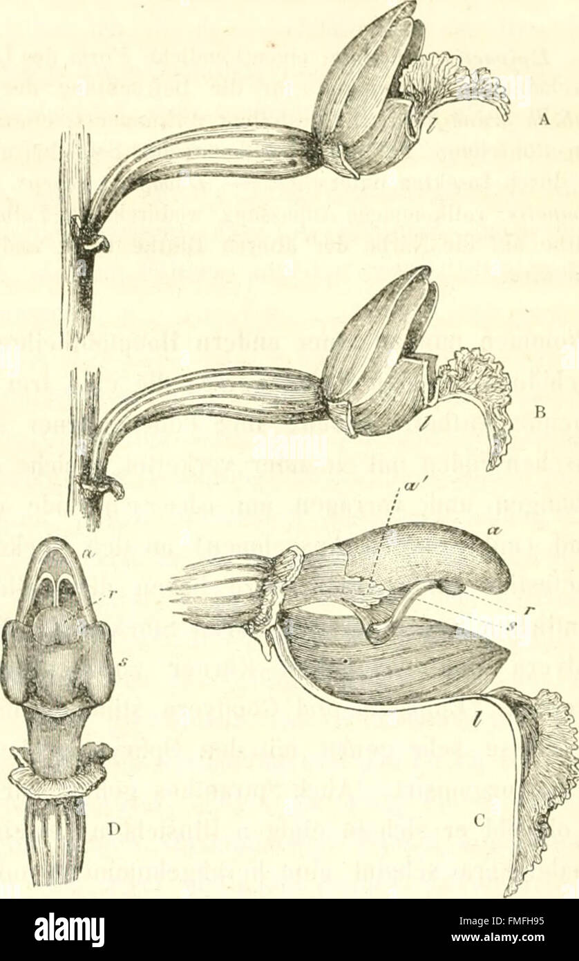 This 1862 work discusses the mechanisms of pollination in British and ...