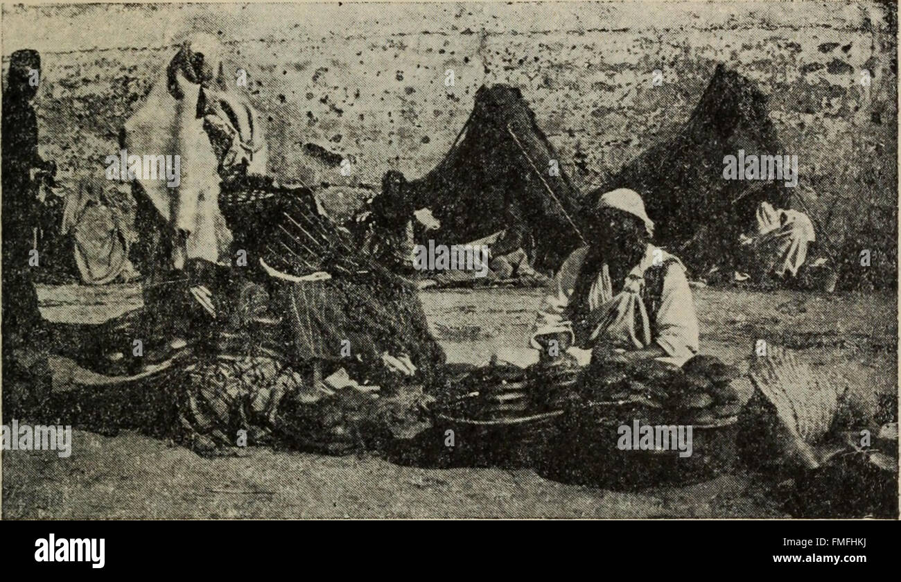 *Tripolitania* (1912) is a geographical and historical exploration of ...