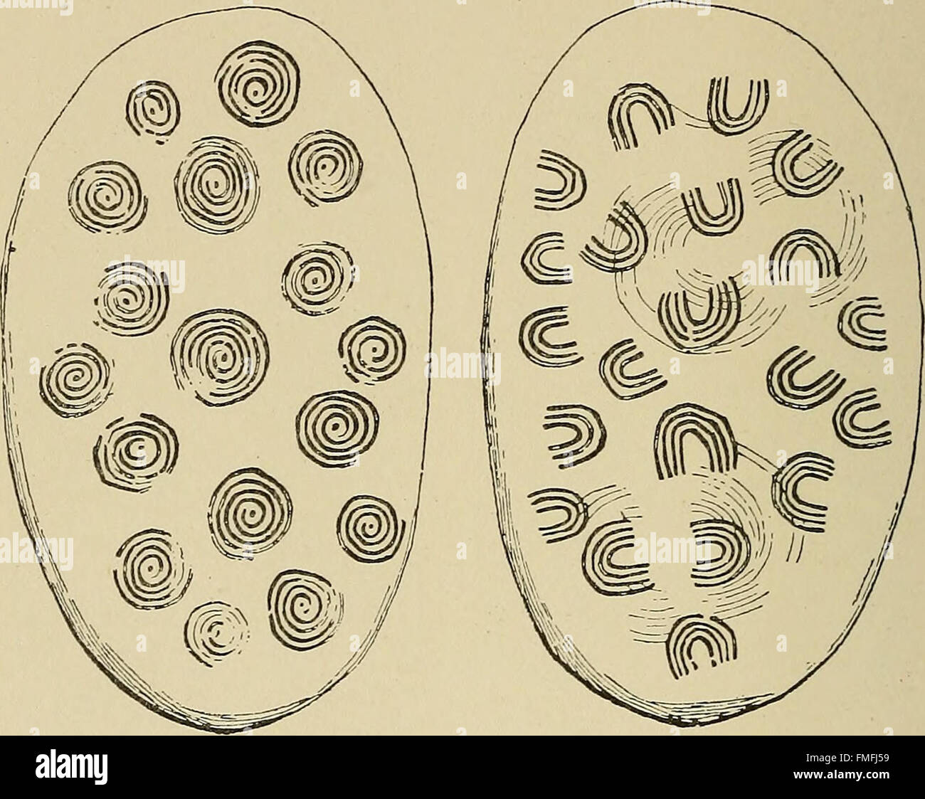 'Archéologie and False Antiquities' (1906) explores the history and ...