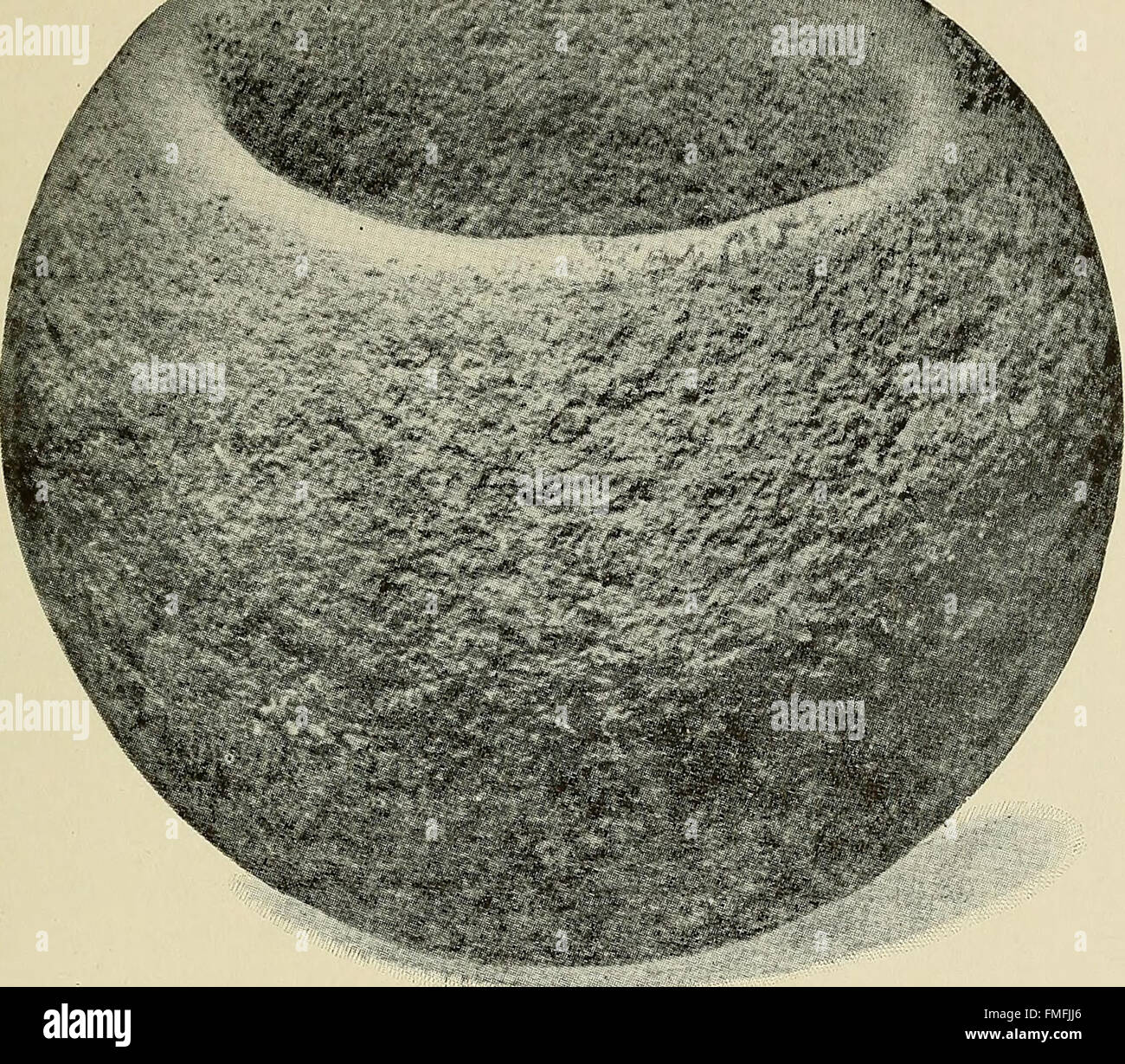 ‘Archaeology and False Antiquities’ (1906) explores the identification ...