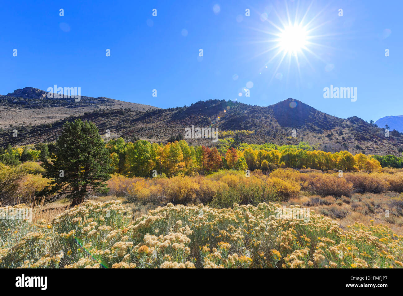 June lake loop hi-res stock photography and images - Alamy