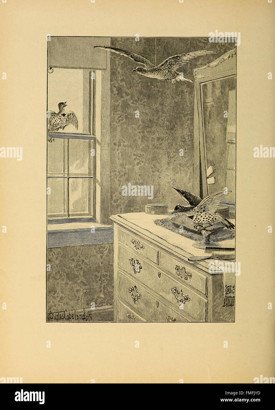 Plate 6 showcases an illustration of woodland creatures and their ...