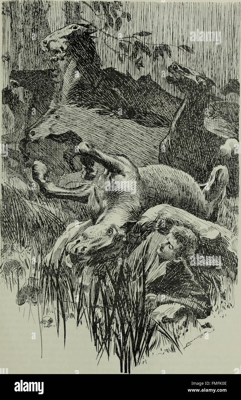 The 'Western Field' (1905) provides an overview of the wildlife ...