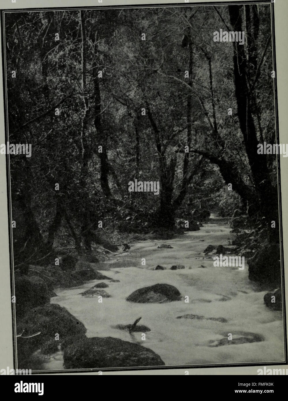 'Western Field' (1905) covers a variety of topics related to the ...