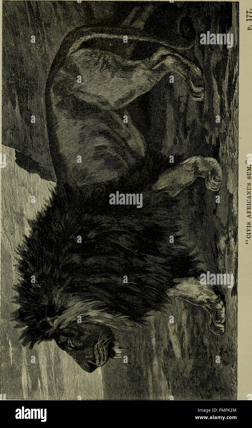 'Wild Beasts and Their Ways' (1890) offers detailed accounts and ...