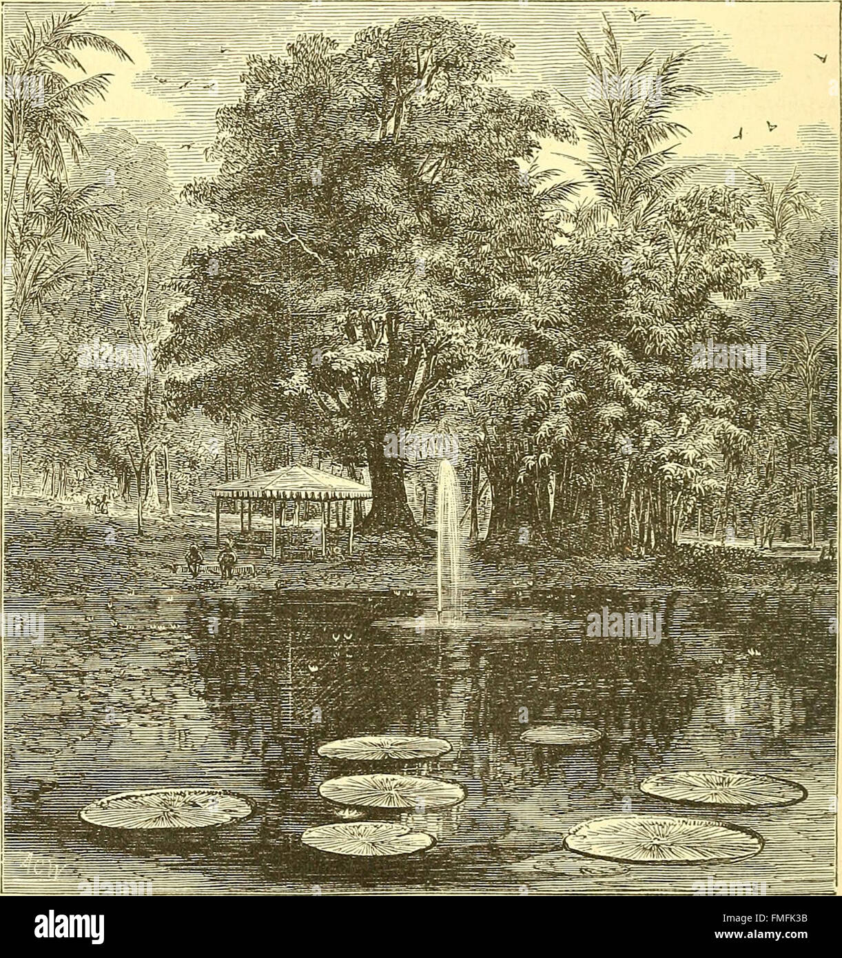 In 1873, William H. Seward, former U.S. Secretary of State, detailed ...