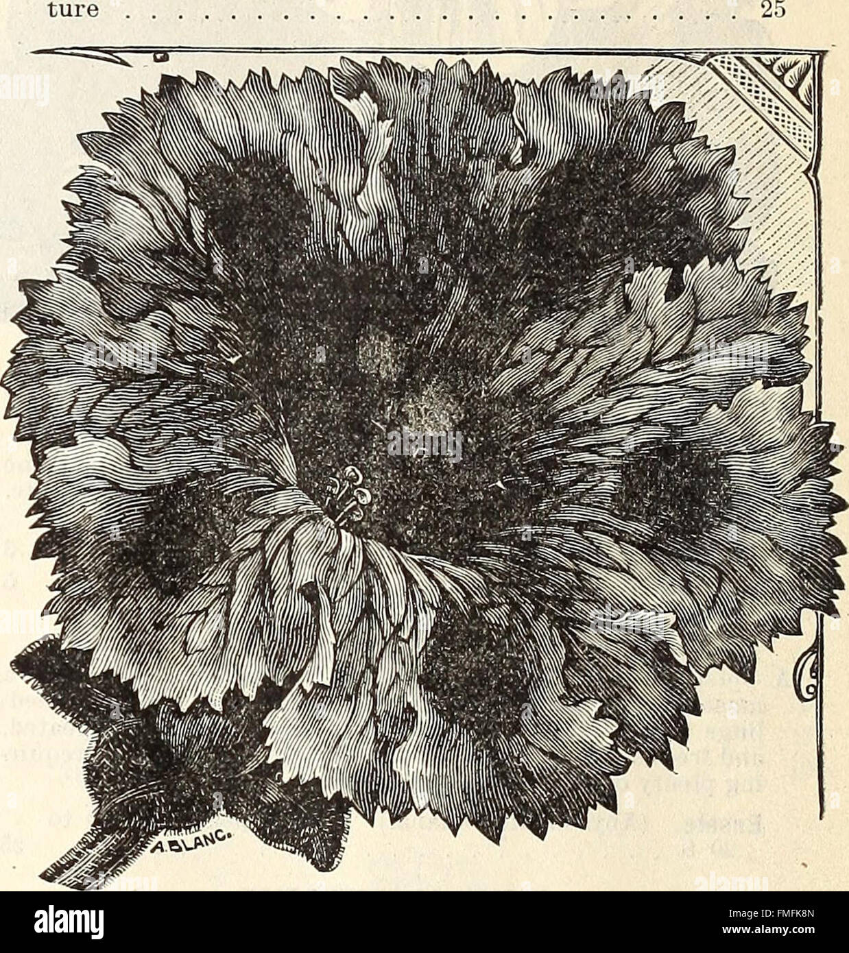 This 1899 catalog from Wm. Elliott and Sons showcases their range of ...