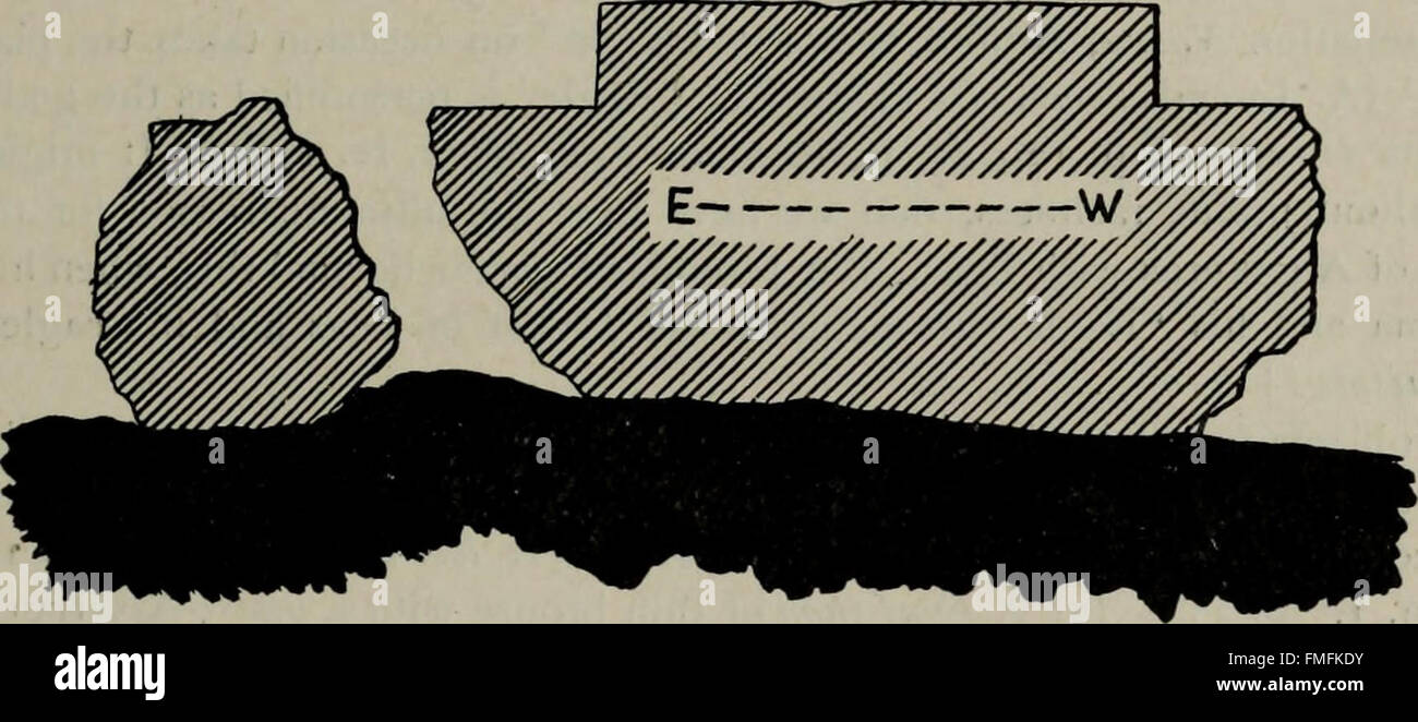 'Zeus - A Study in Ancient Religion' (1914) examines the role of Zeus ...
