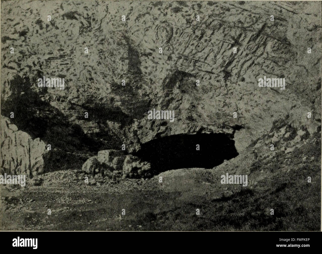 'Zeus - A Study in Ancient Religion' examines the role of Zeus in ...