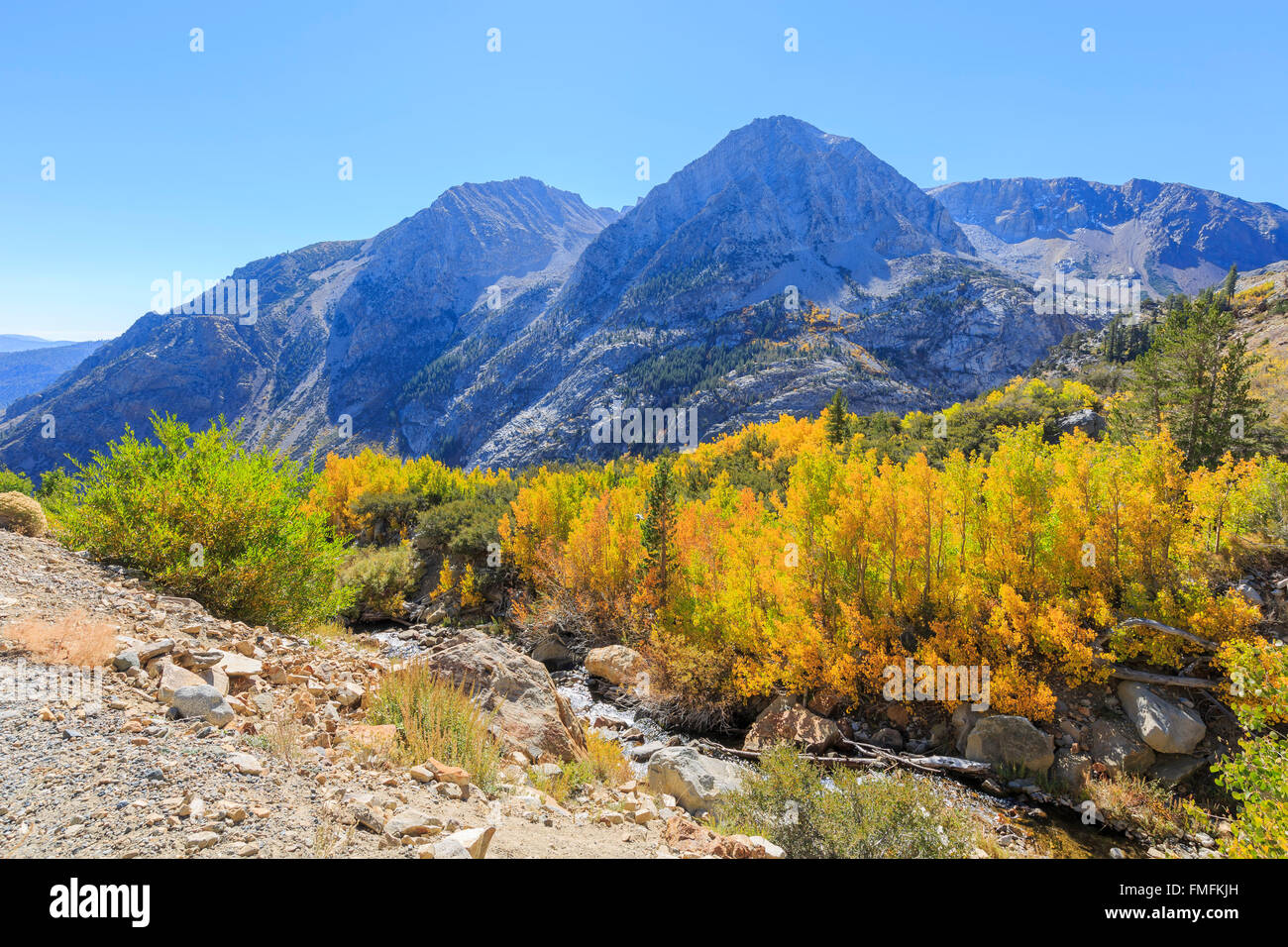 Beautiful fall color in Tioga Road, California Stock Photo - Alamy