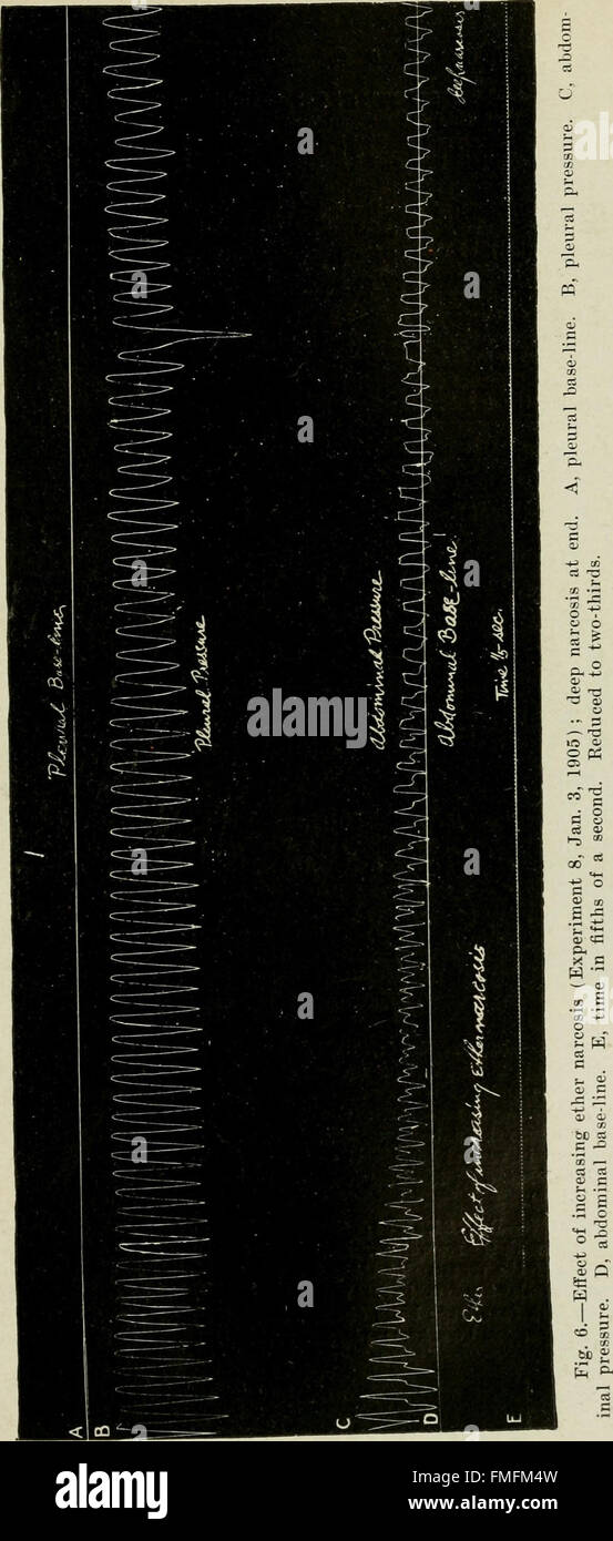 Archives of internal medicine (1908 Stock Photo - Alamy