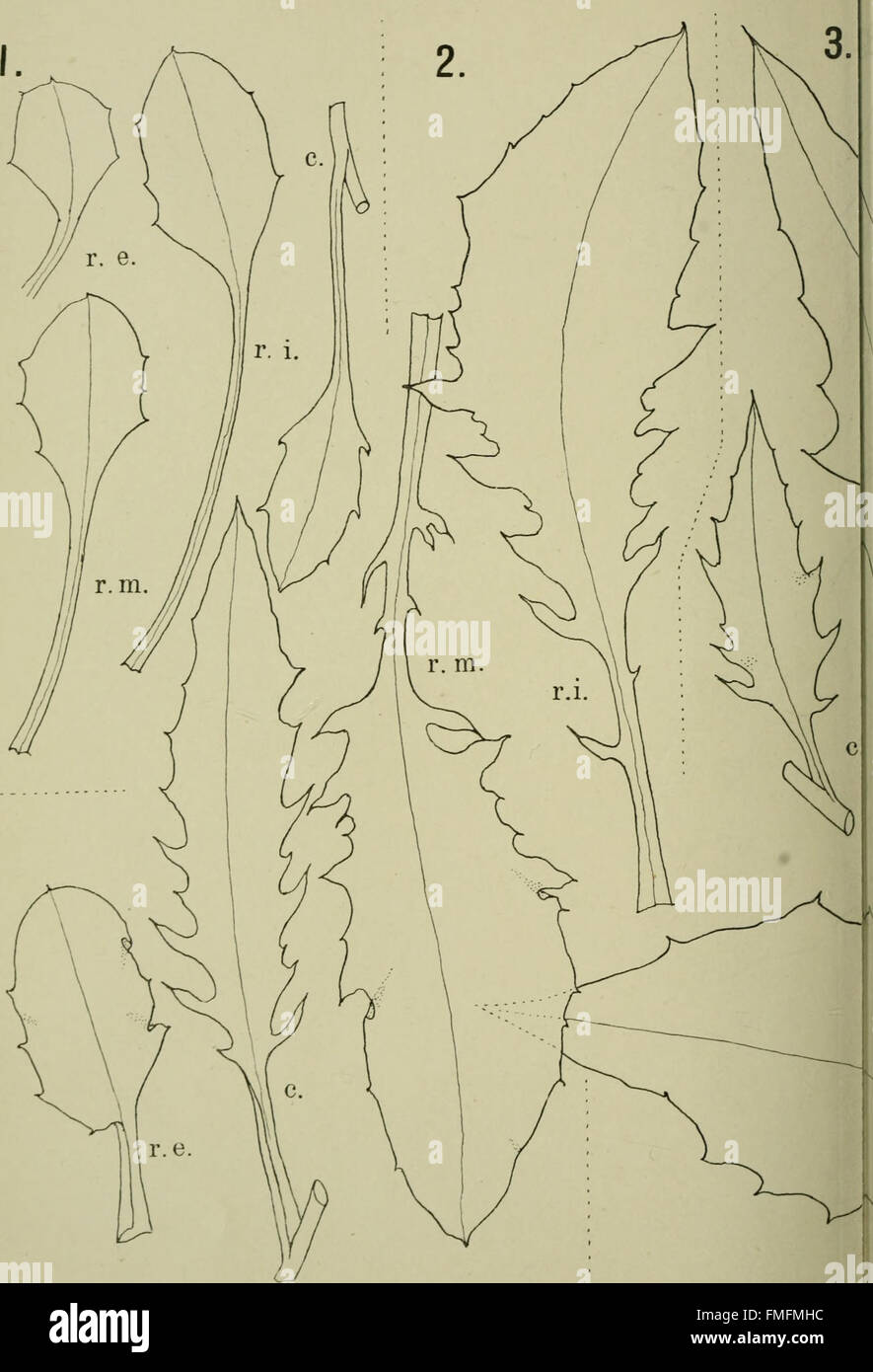 'Arkiv för Botanik' (1904) is a scientific journal dedicated to ...