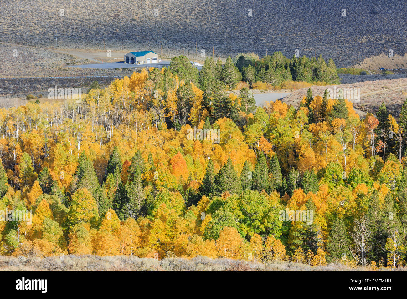 Beautiful fall color at Conway Summit, California Stock Photo - Alamy