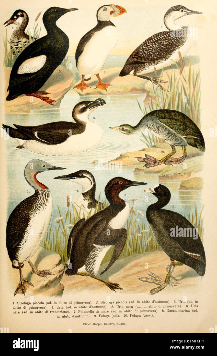 Tav font hi-res stock photography and images - Alamy