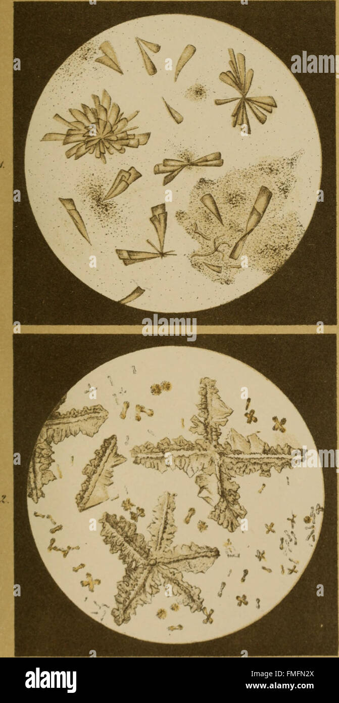 This 1871 atlas presents illustrations and descriptions of ...