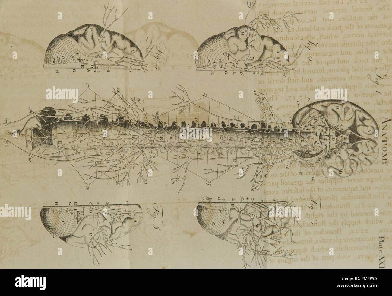 The compendious book hi-res stock photography and images - Alamy