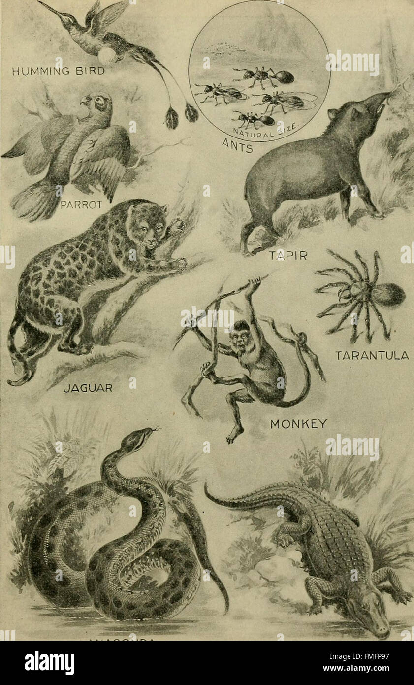 'A Complete Geography', published in 1902, provides a comprehensive ...