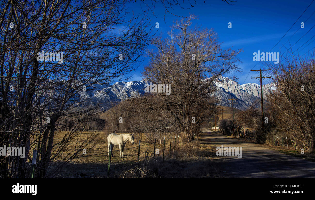 Lone Pine, California, USA. 11th Mar, 2016. The small town of Lone Pine ...