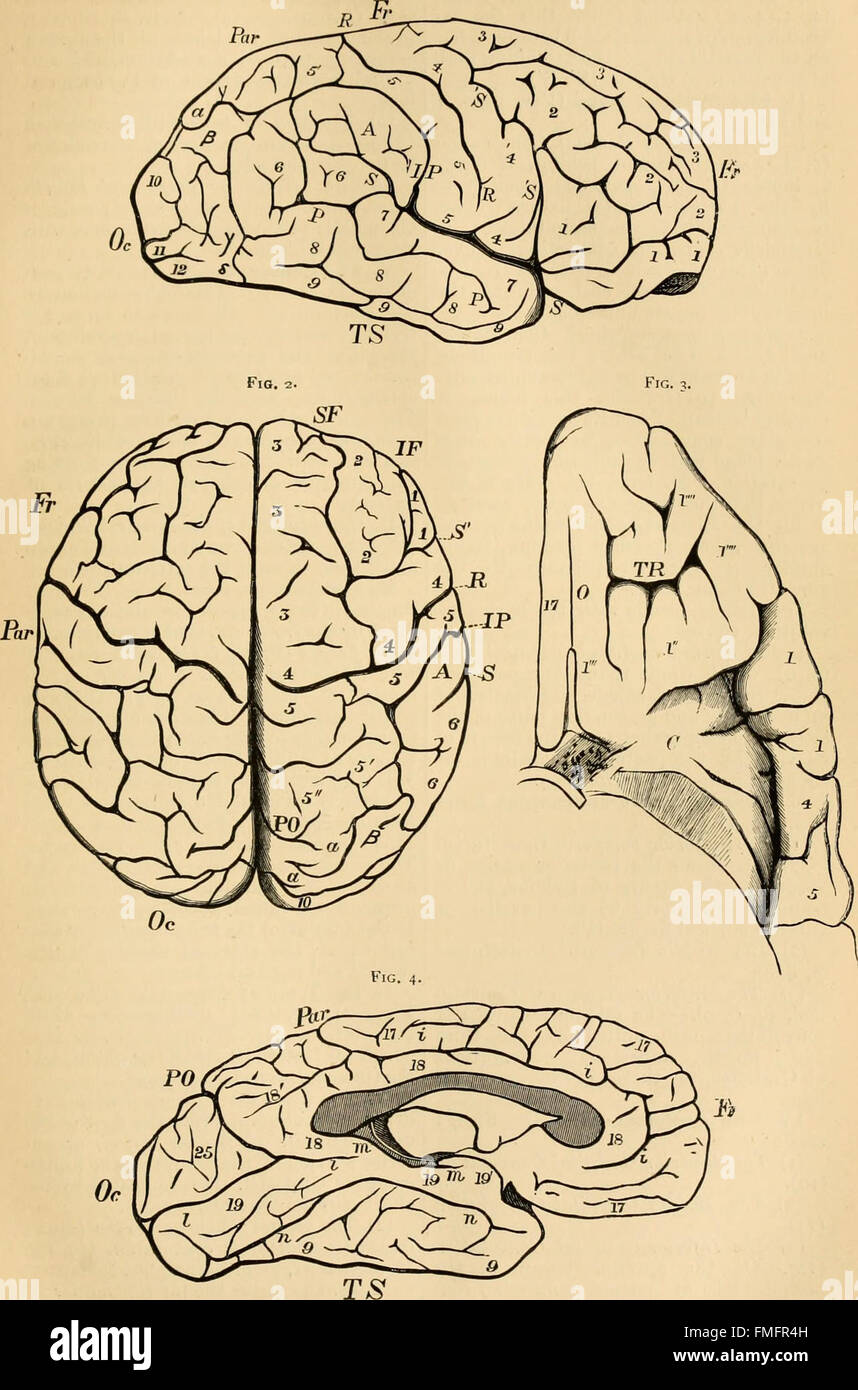 Psychology terms hi-res stock photography and images - Alamy