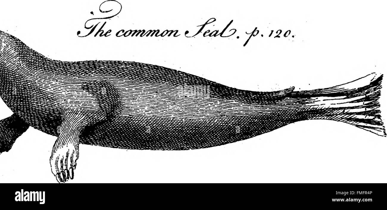 Classification within marine biology Black and White Stock Photos ...