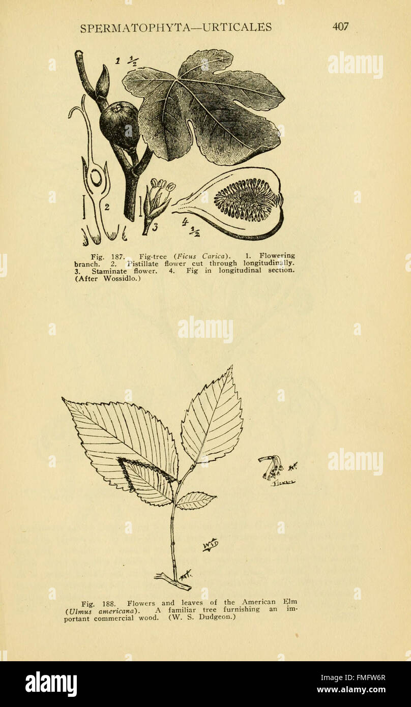 This manual provides detailed descriptions of various poisonous plants ...
