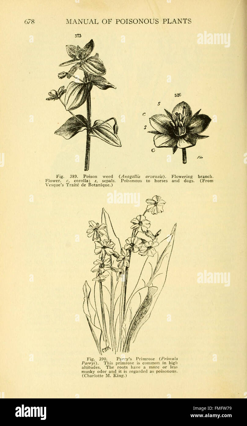 This manual provides an overview of plants that are toxic to humans and ...