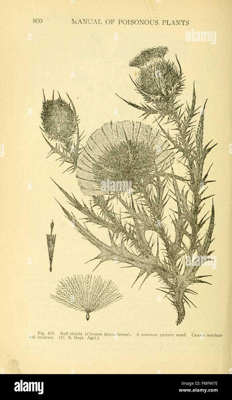 Page 800 of 'A Manual of Poisonous Plants' details a wide variety of ...