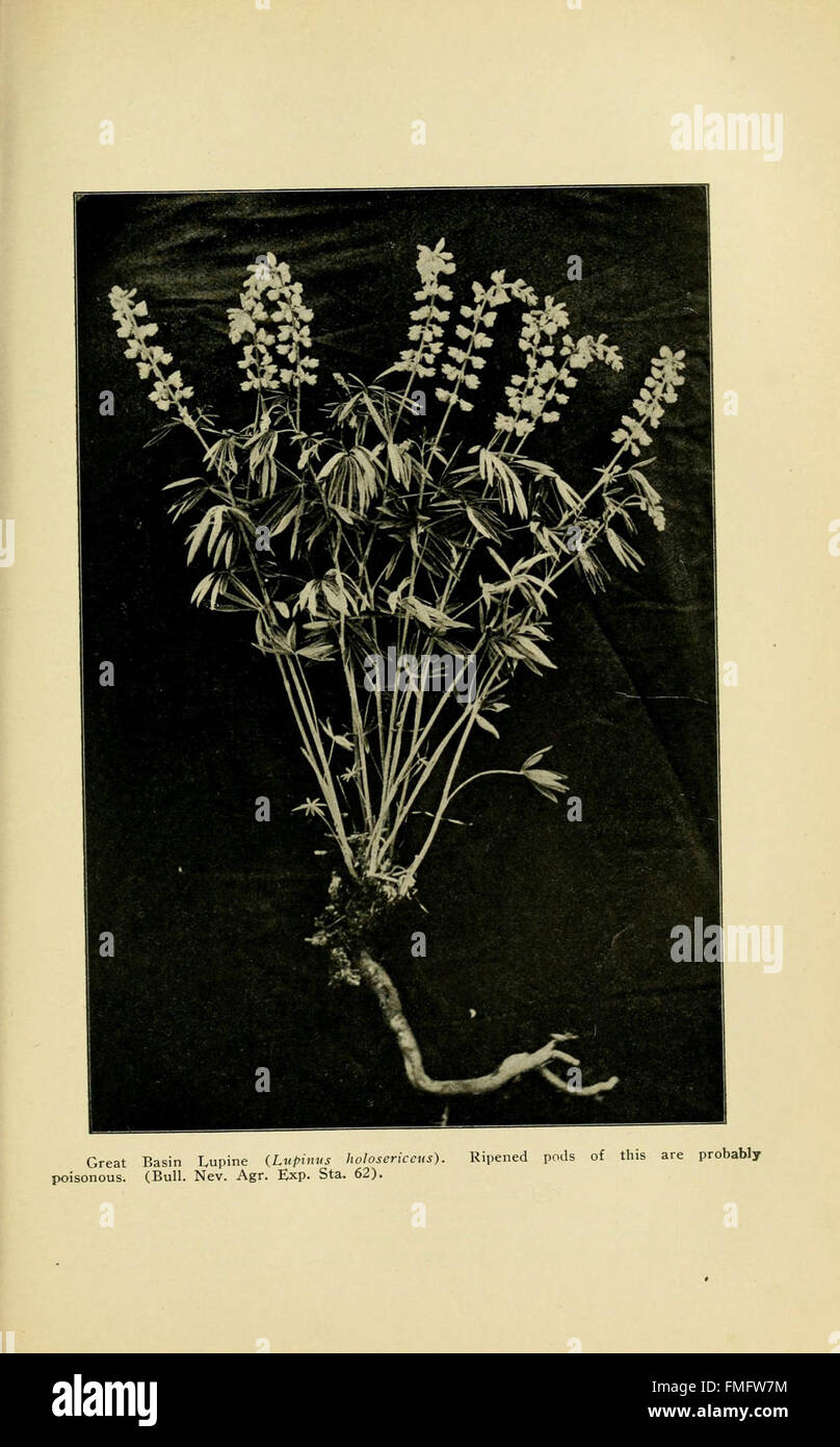 This manual provides detailed illustrations and descriptions of ...