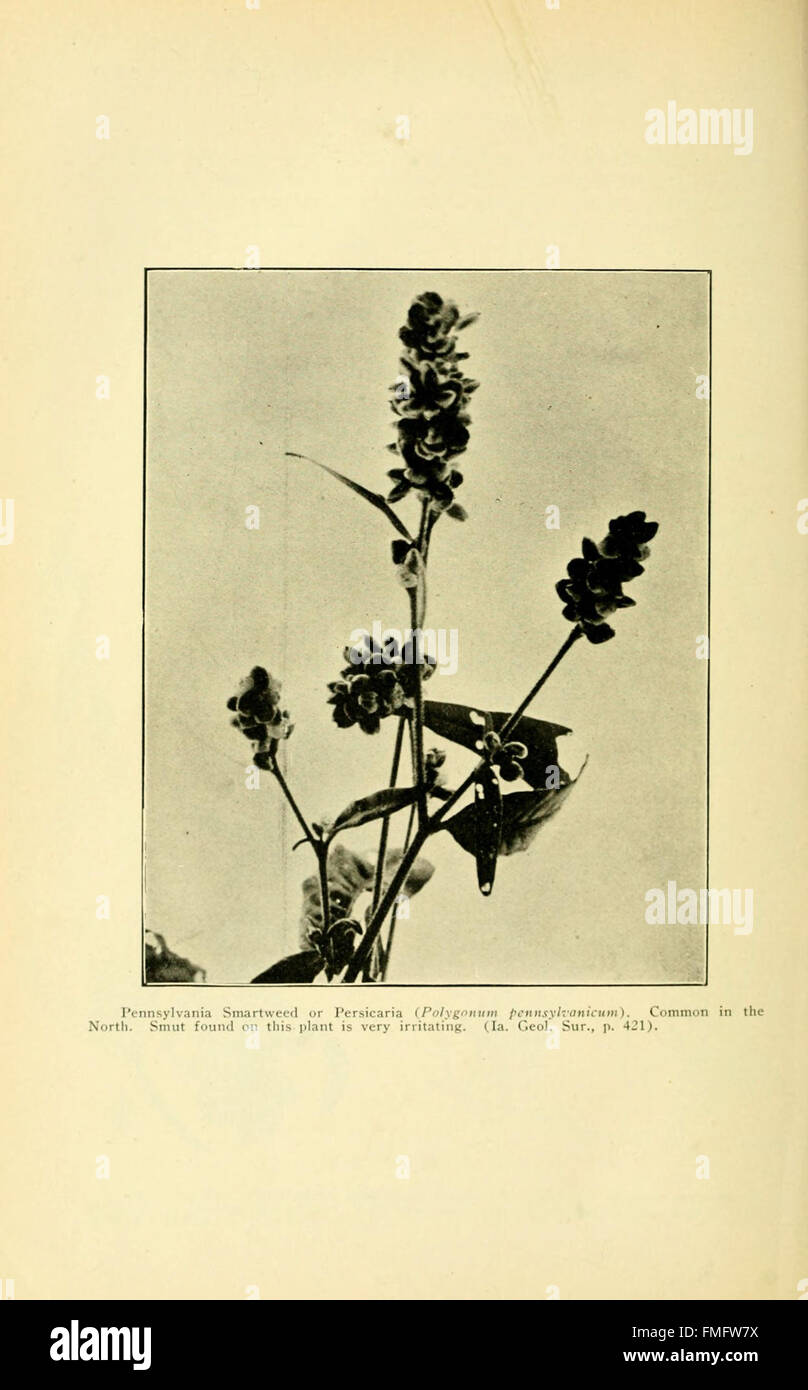 This manual provides illustrations and descriptions of various ...