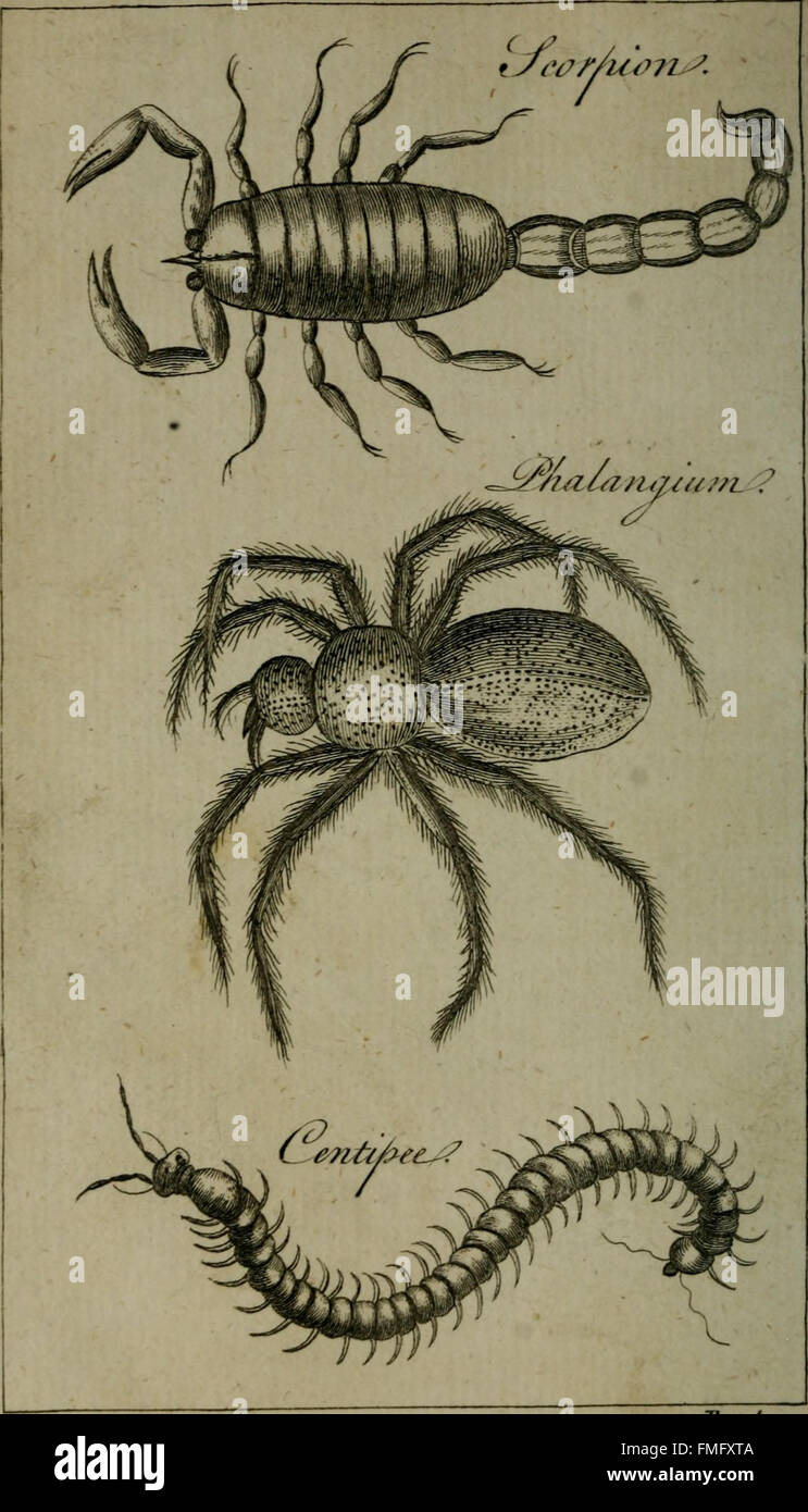 This work presents a comprehensive classification and description of ...