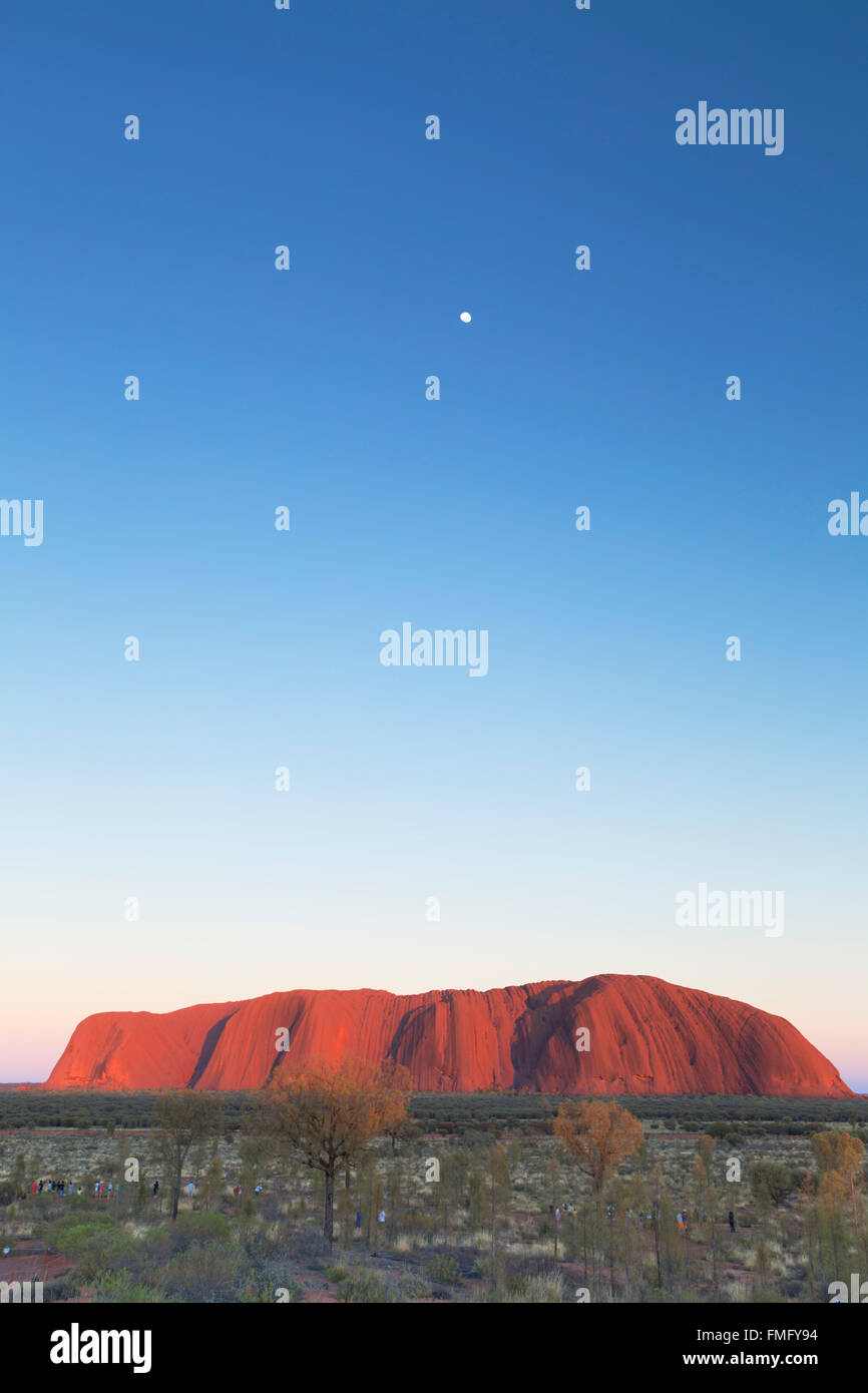 Uluru (UNESCO World Heritage Site) at dawn, Uluru-Kata Tjuta National ...