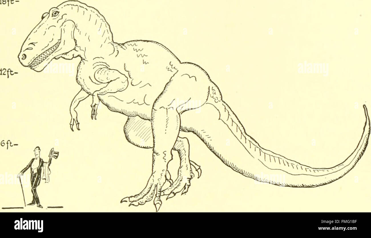 'Biology; the story of living things' (1937) provides an overview of ...