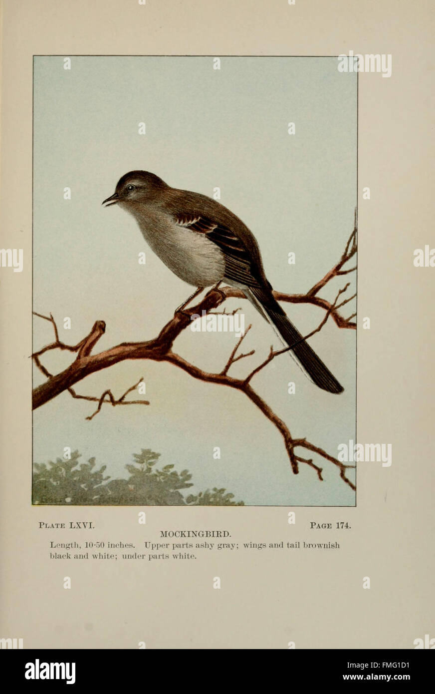 Lxvi i hi-res stock photography and images - Alamy