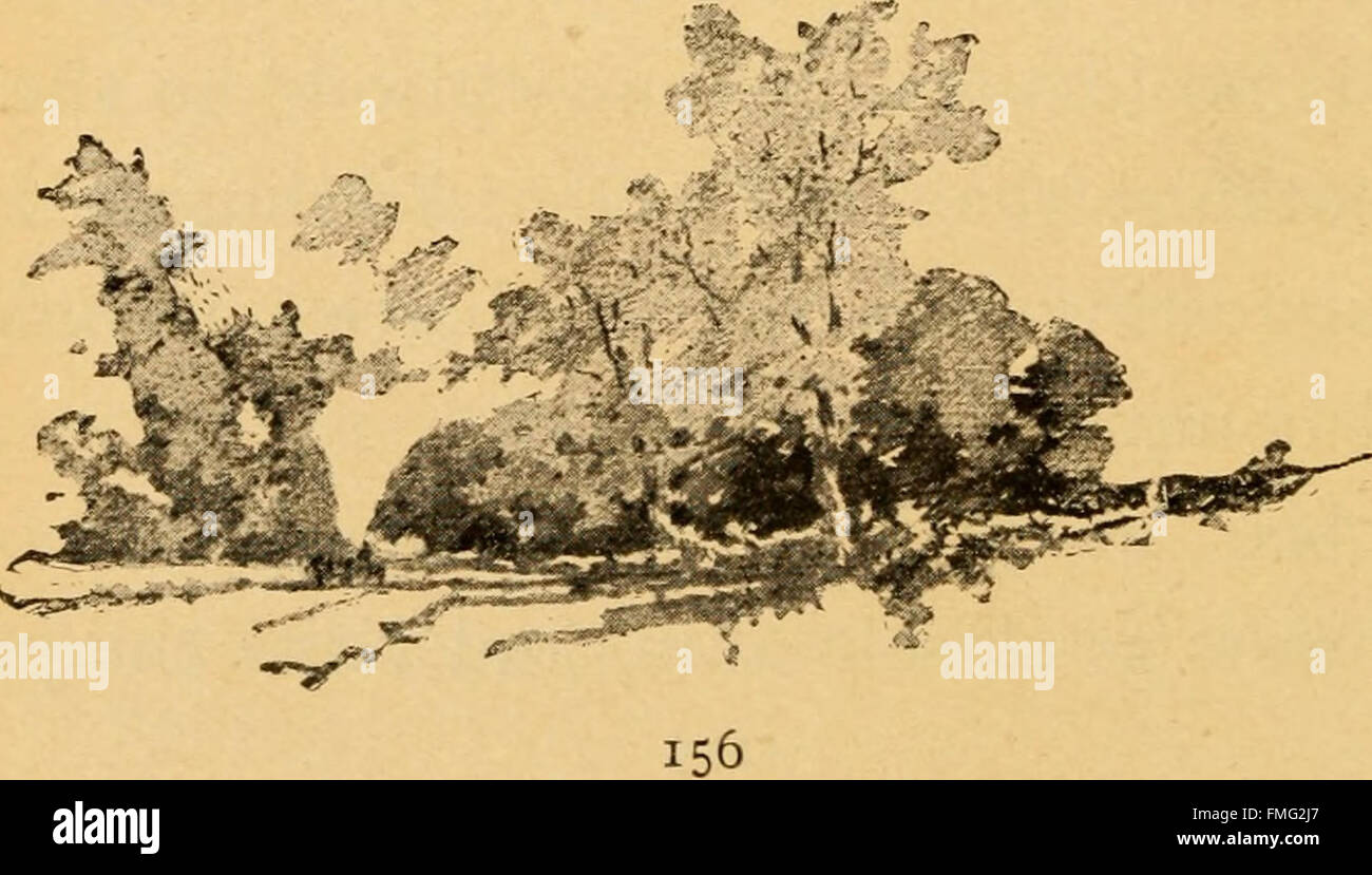 This work from 1901 examines the relationship between wildflowers and ...