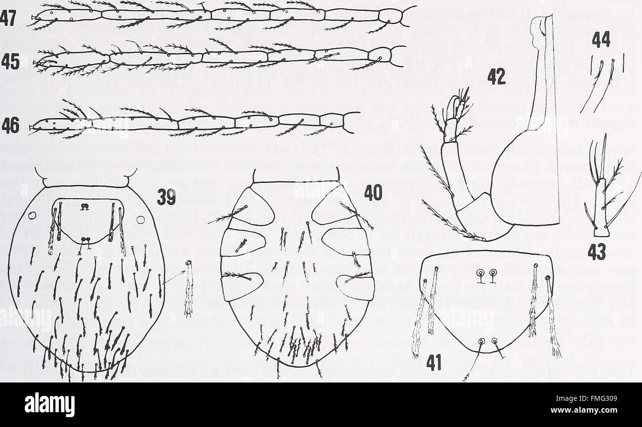 Map of bonner hi-res stock photography and images - Alamy