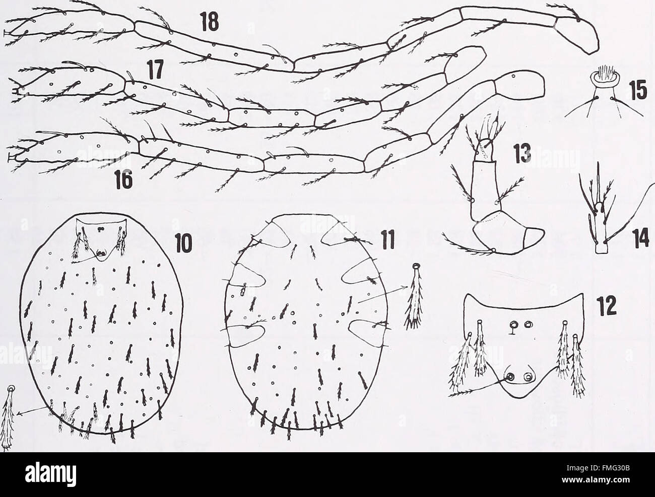 Map of bonner hi-res stock photography and images - Alamy