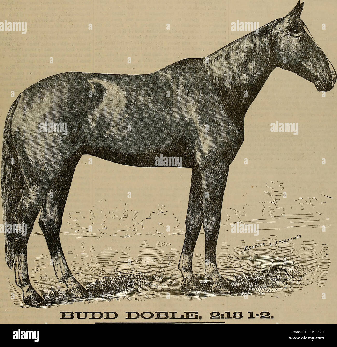 A historical work examining the roles of breeders and sportsmen in the ...