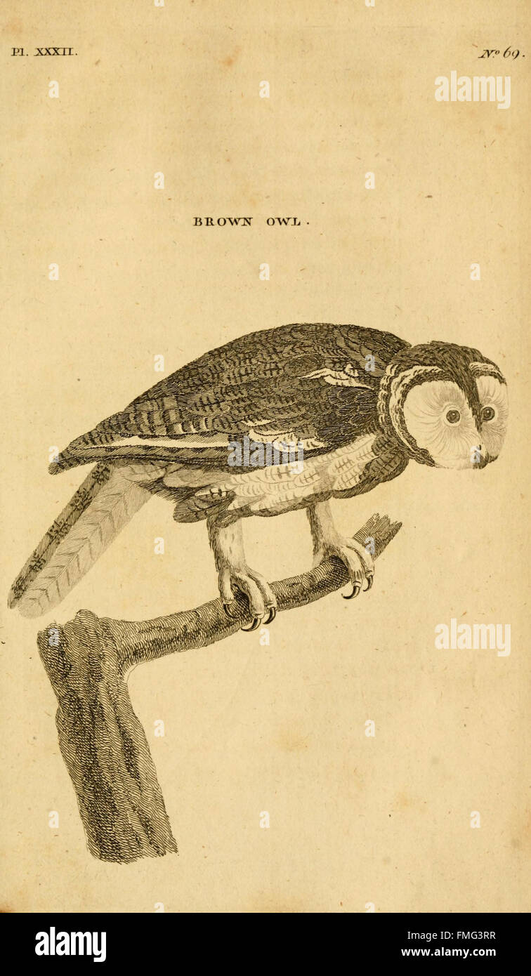 This plate from British Zoology features a detailed illustration of ...