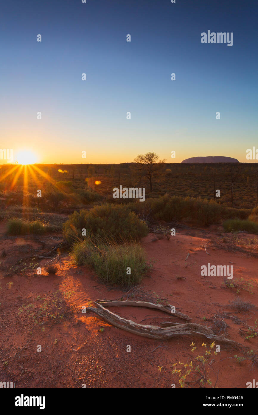 Uluru (UNESCO World Heritage Site) at dawn, Uluru-Kata Tjuta National ...