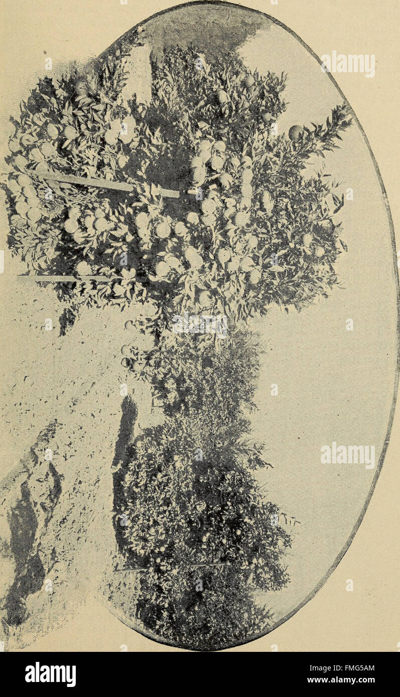 California map 1900 hi-res stock photography and images - Alamy