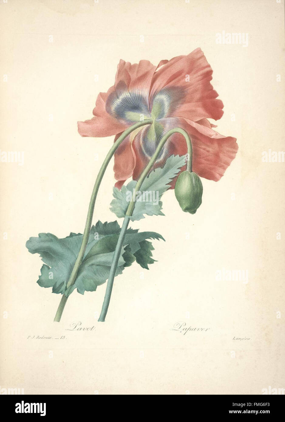 'Choix des Plus Belles Fleurs' presents a selection of the most ...