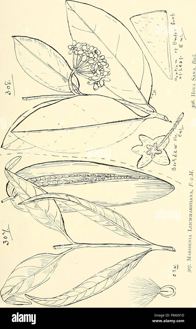 This catalogue provides a comprehensive list of Queensland plants, both ...